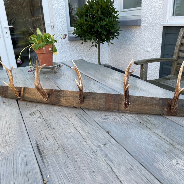 Antler Coat Rack - Etsy