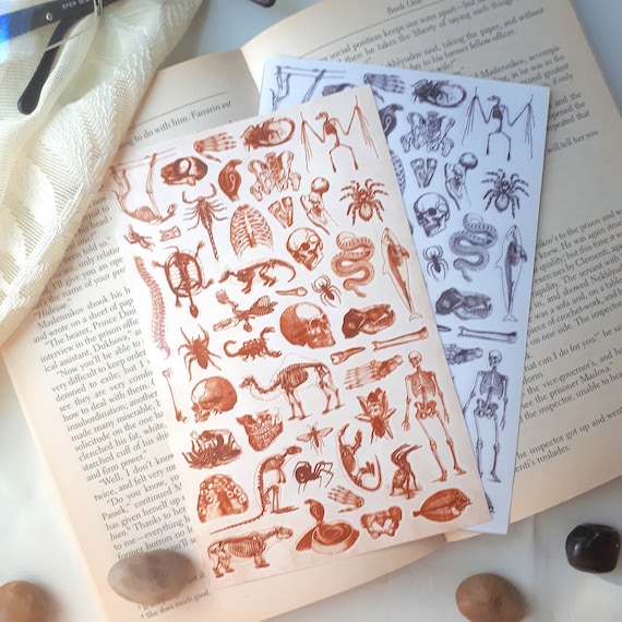 Craft Supplies & Tools Beetle Sticker Set die cut vinyl glossy decal ...