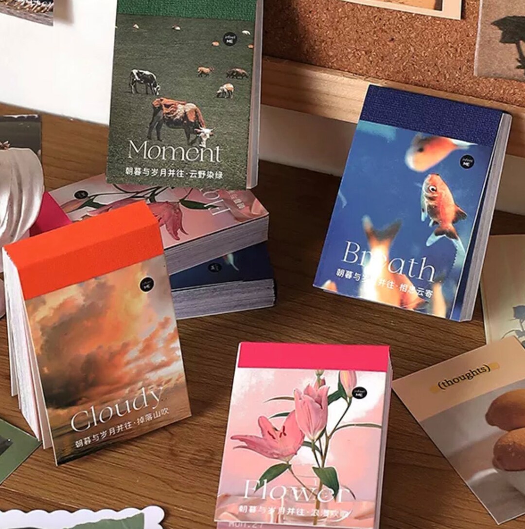 50 PC Mini Washi Sticker Pages, Junk Stickers, Planner Stickers ...