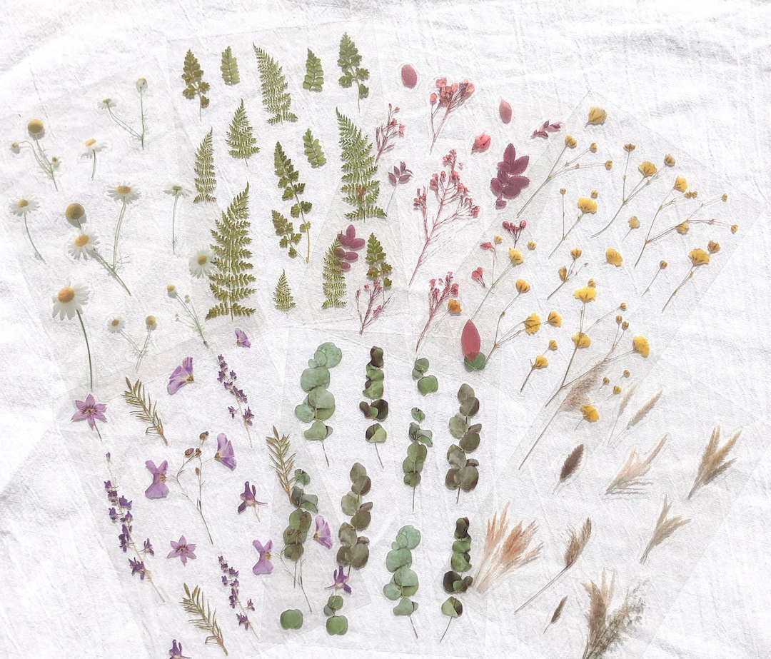 Clear Botanical Stickers, Floral Stickers, Flower Stickers, Journal ...