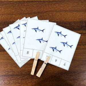 Shark Unit Study, Realistic Shark, Shark Packet, Montessori, 3 Part ...