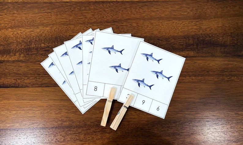 Shark Unit Study, Realistic Shark, Shark Packet, Montessori, 3 Part ...