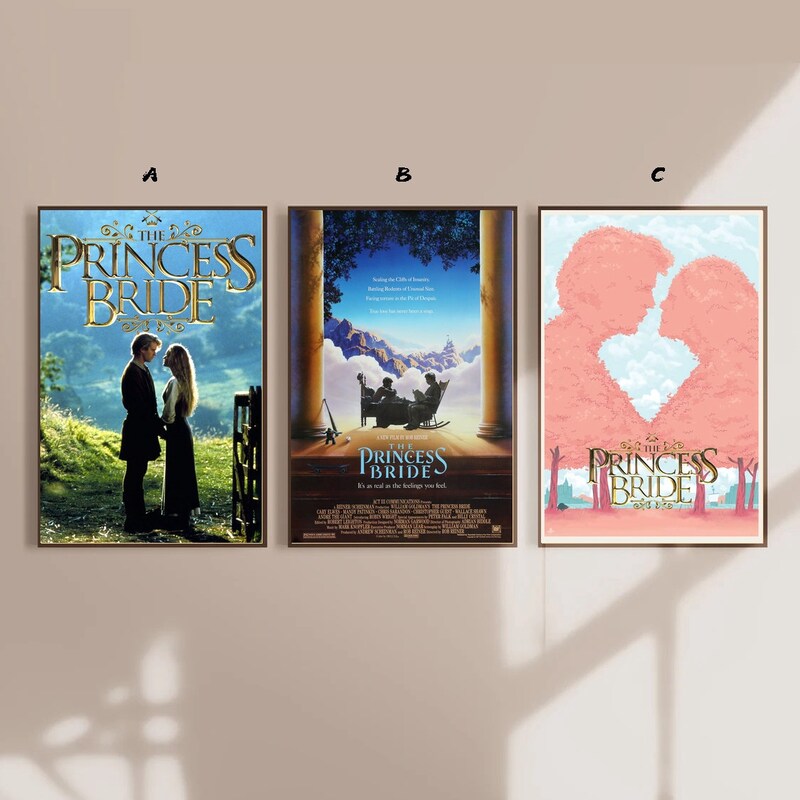 Princess Bride Movie - Etsy