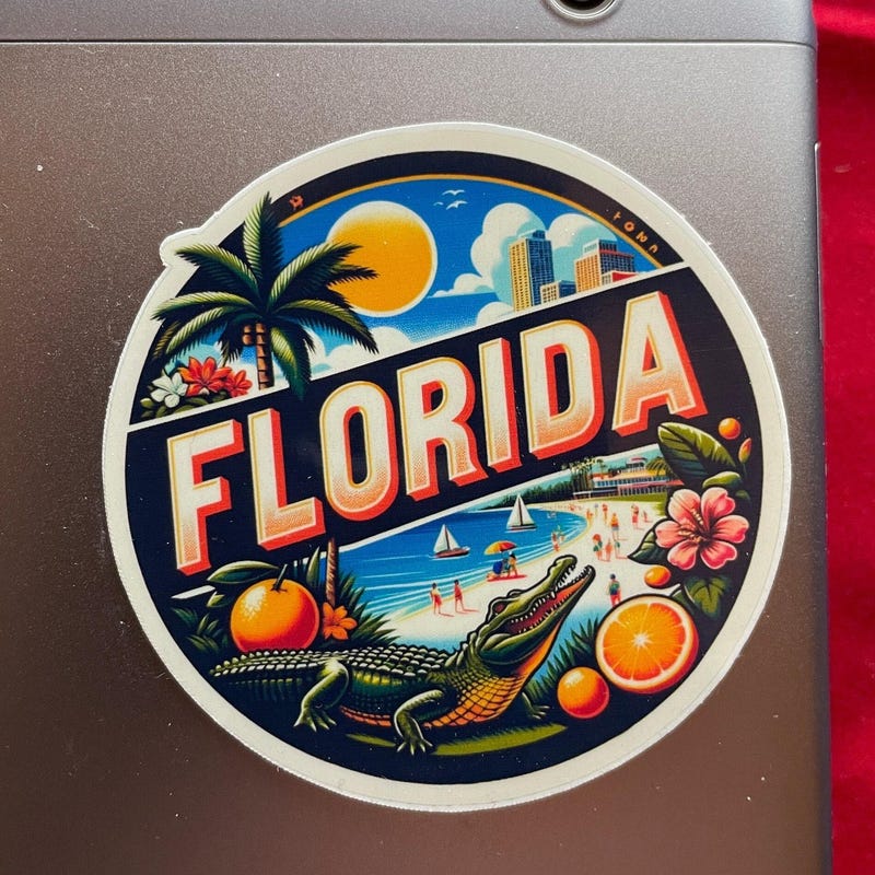 Florida Decal - Etsy