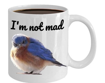 The Angry Mad Bluebird - Etsy