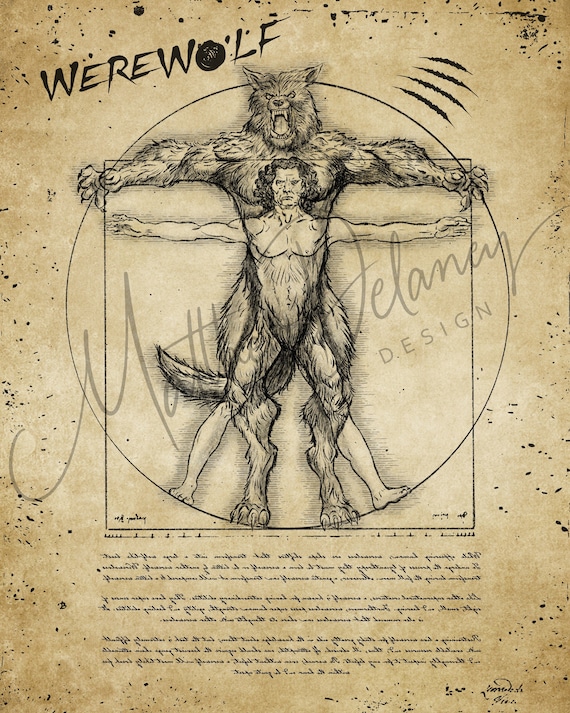 Vitruvian Werewolf print - Etsy