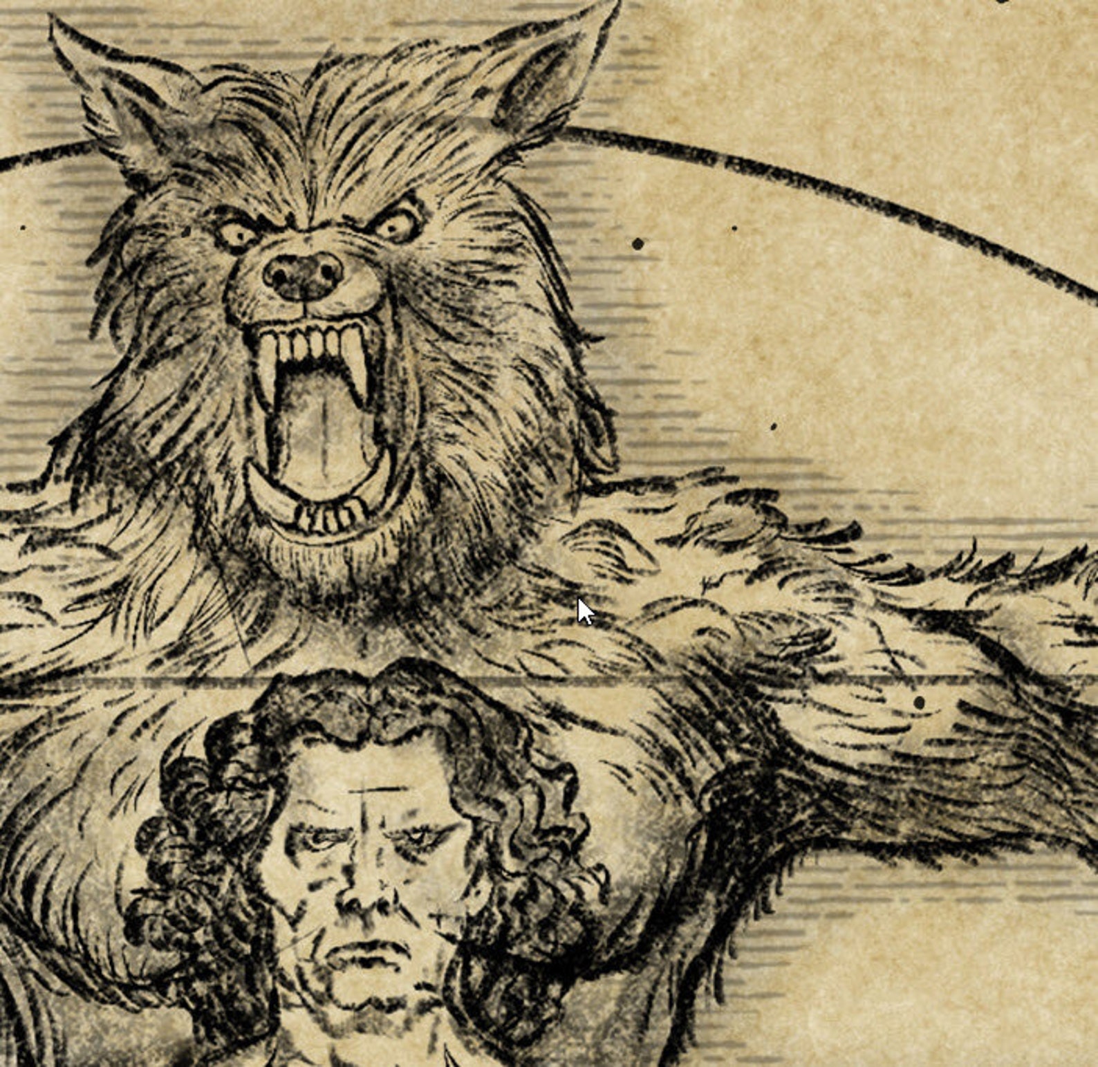 Vitruvian Werewolf print - Etsy