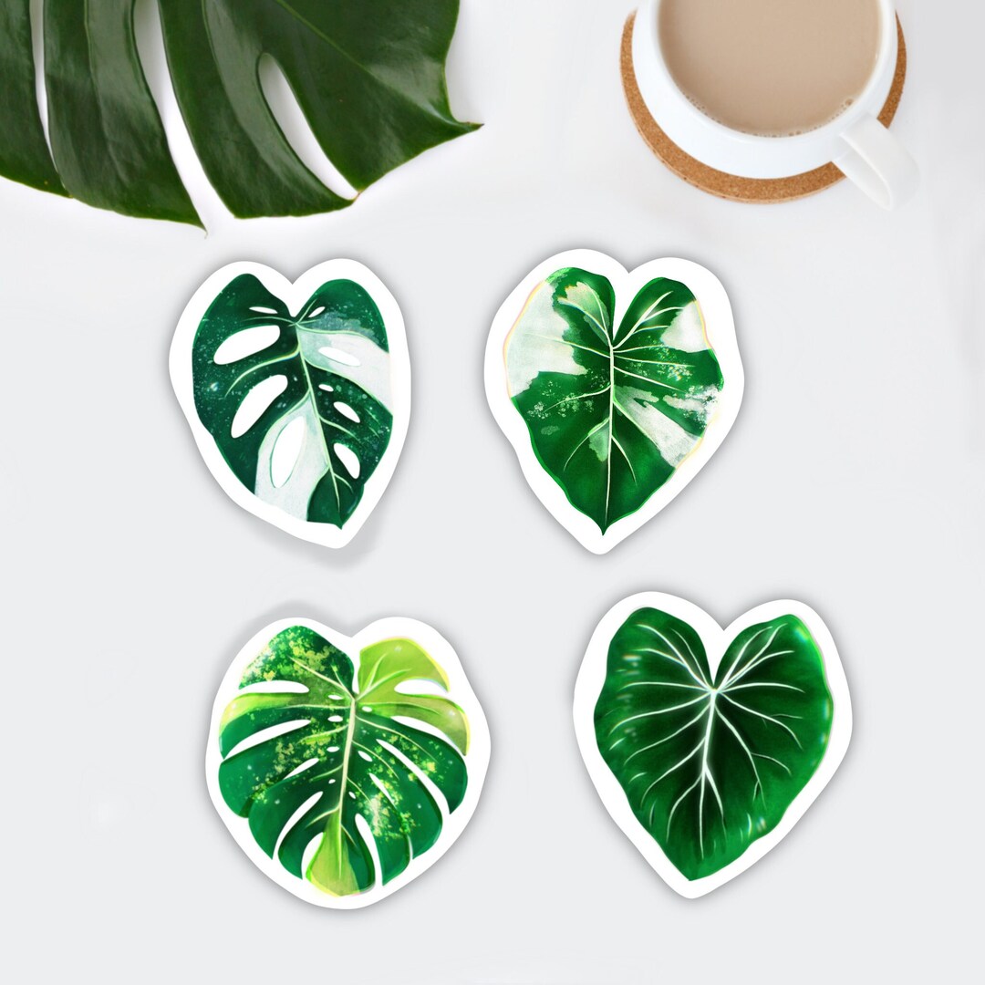 Refrigerator Magnet Plants, Magnet Set, Monstera Leaf Aurea, Adansonii ...