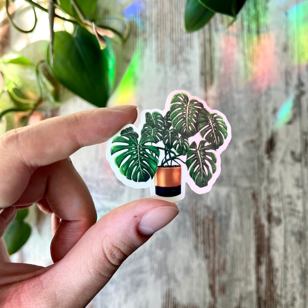 Monstera Deliciosa Sticker, Plant Sticker, Botanical Illustration ...