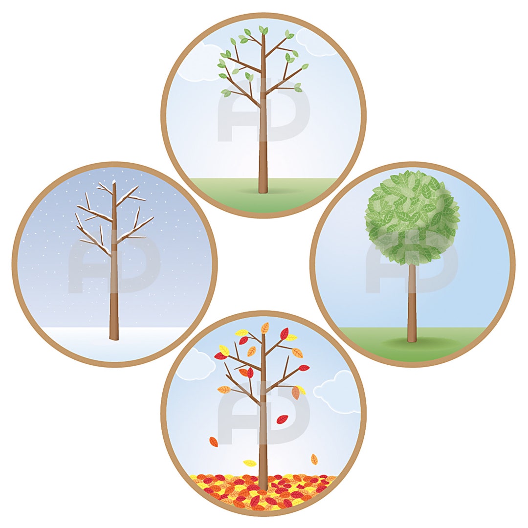 Changes_four Seasons, Spring, Summer, Fall, Winter, Seasons, Tree ...