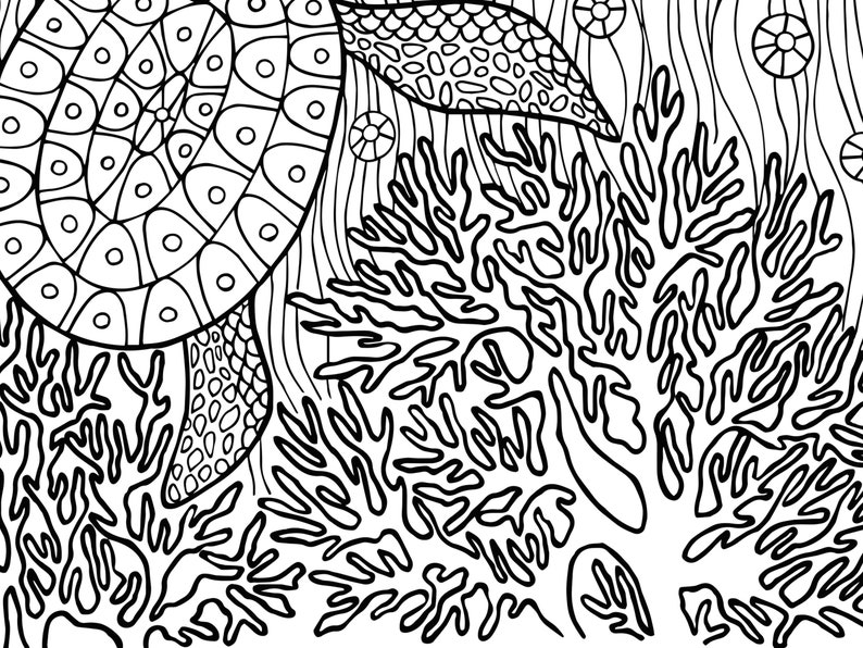 Sea Turtle Adult Coloring Pages Printable PDF Hand Drawn - Etsy
