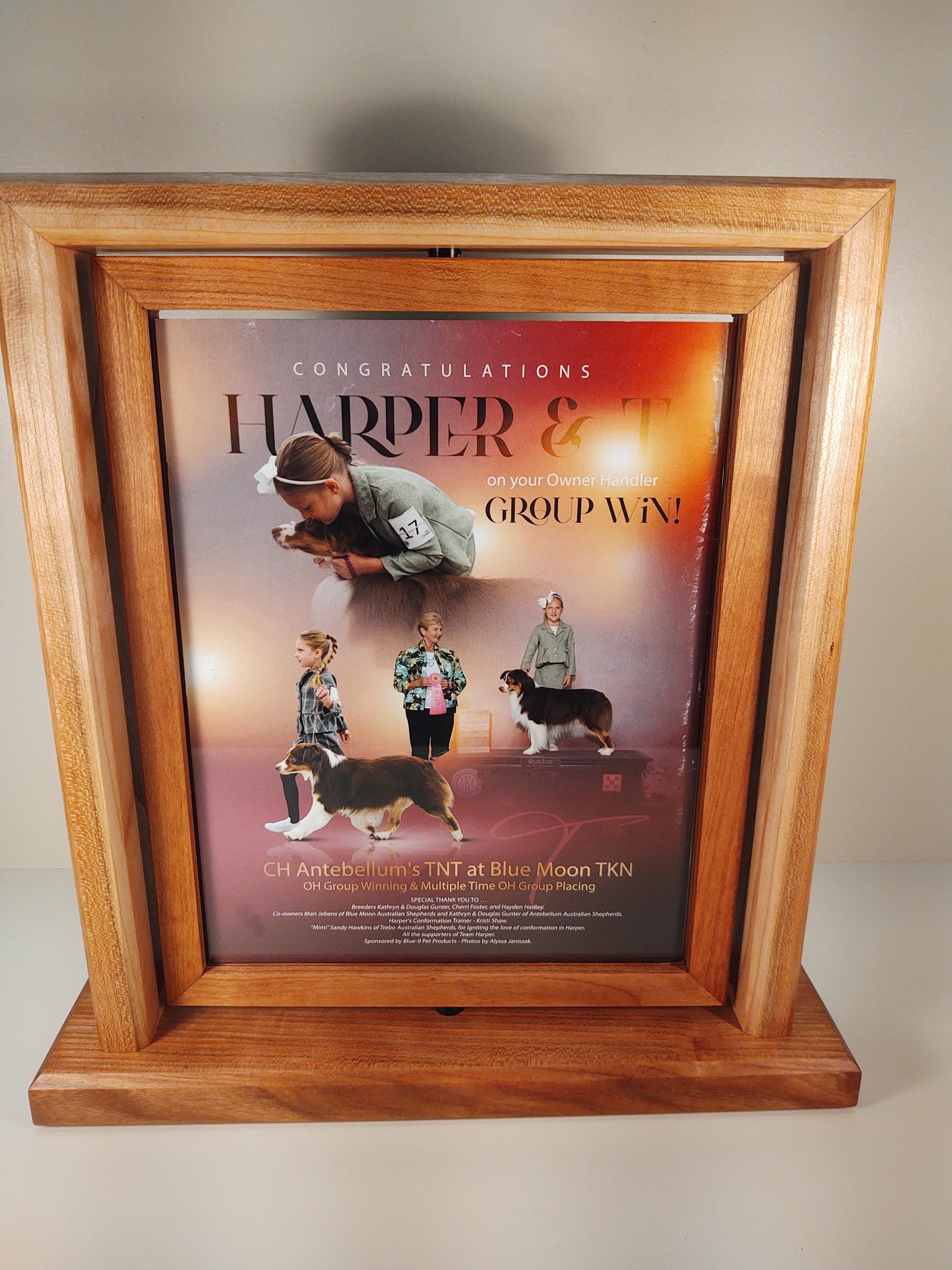 Wooden Magazine Display Frame - Etsy