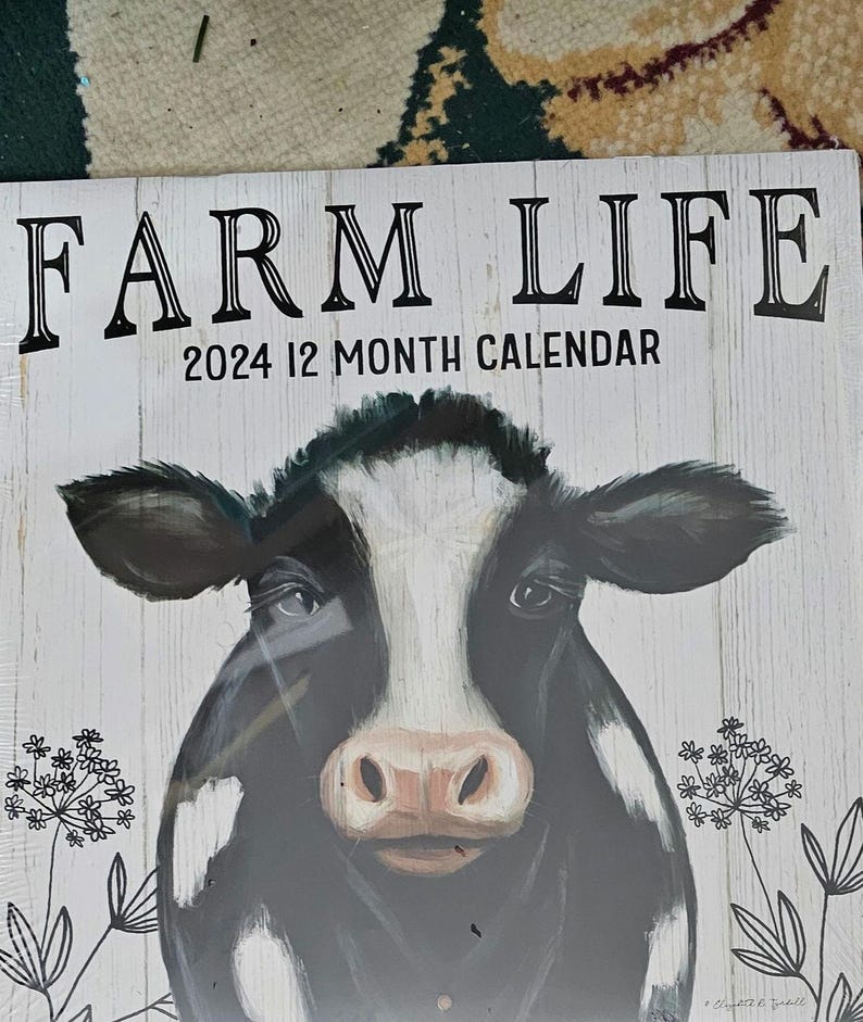 Misc Years of Dollar Tree Calendars - Etsy