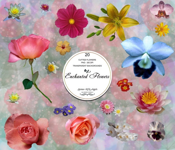 20 Photo Flowers PNG Flower Clipart Commercial Use Instant | Etsy