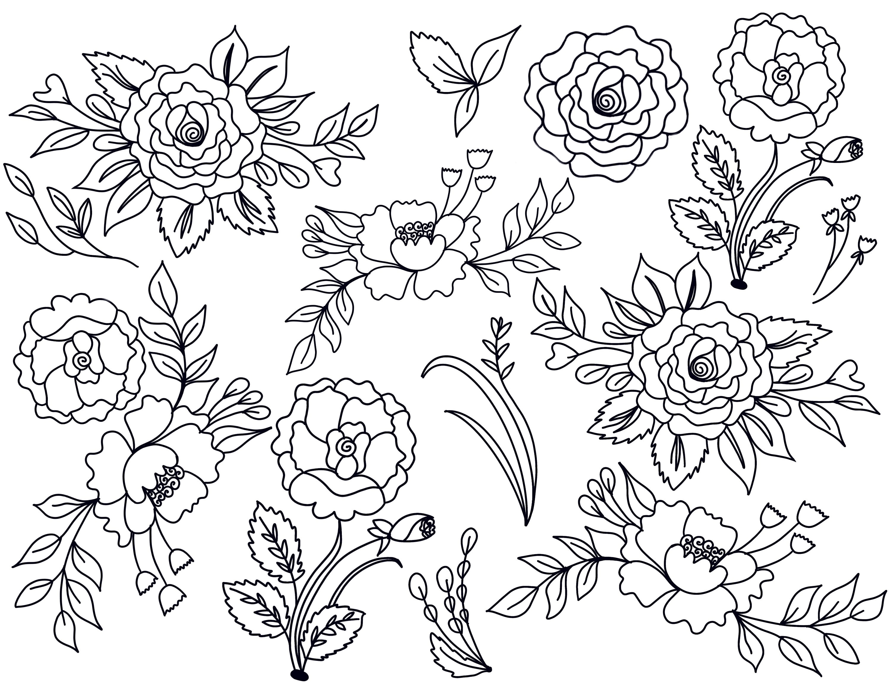 Flowers to Color,coloring Printables,coloring for Adults,coloring ...