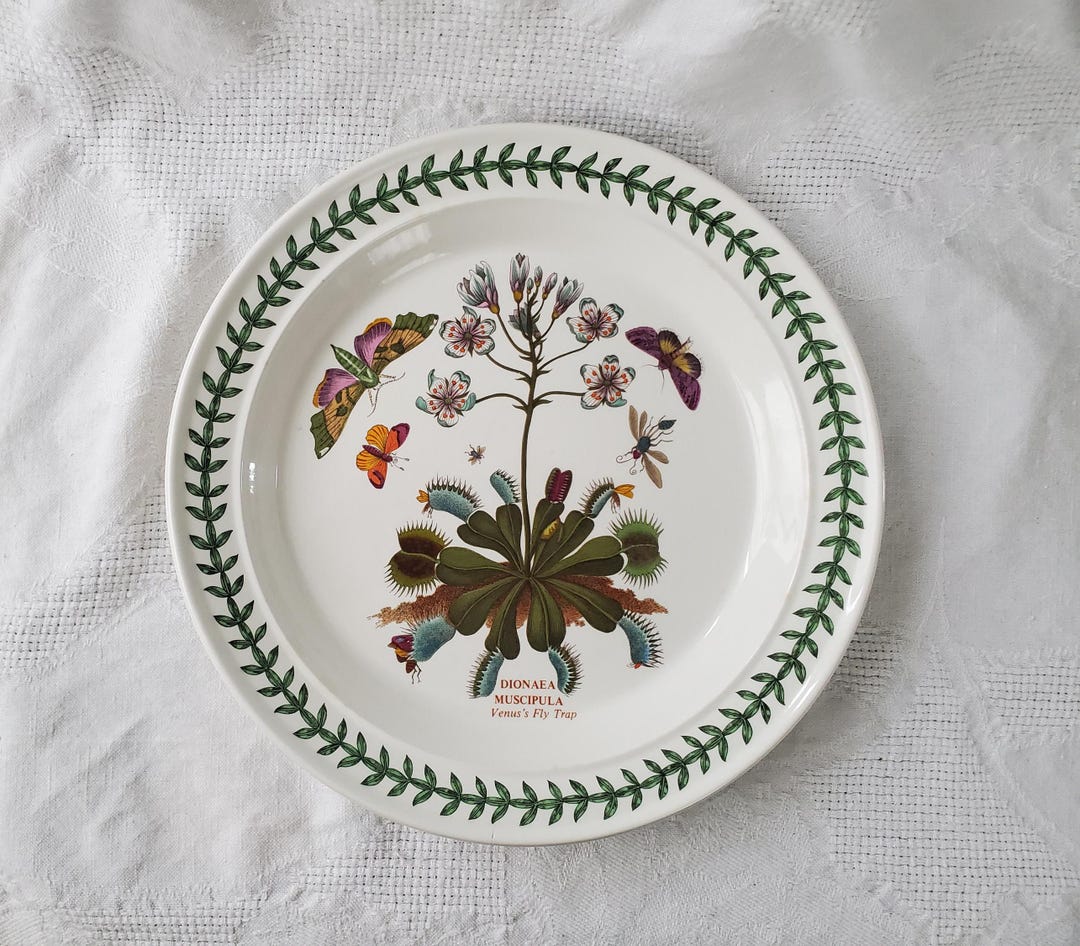 Portmeirion "botanic Garden" Dinner Plate, Hard-to-find "venus's Fly ...