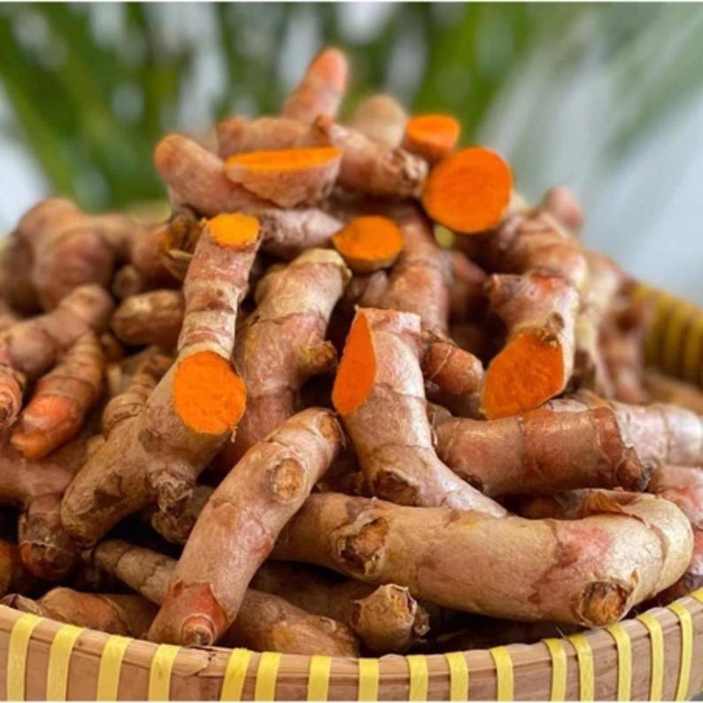 Fresh Wild Turmeric Root From Indonesia, Whole, Raw, Fresh Culinary ...