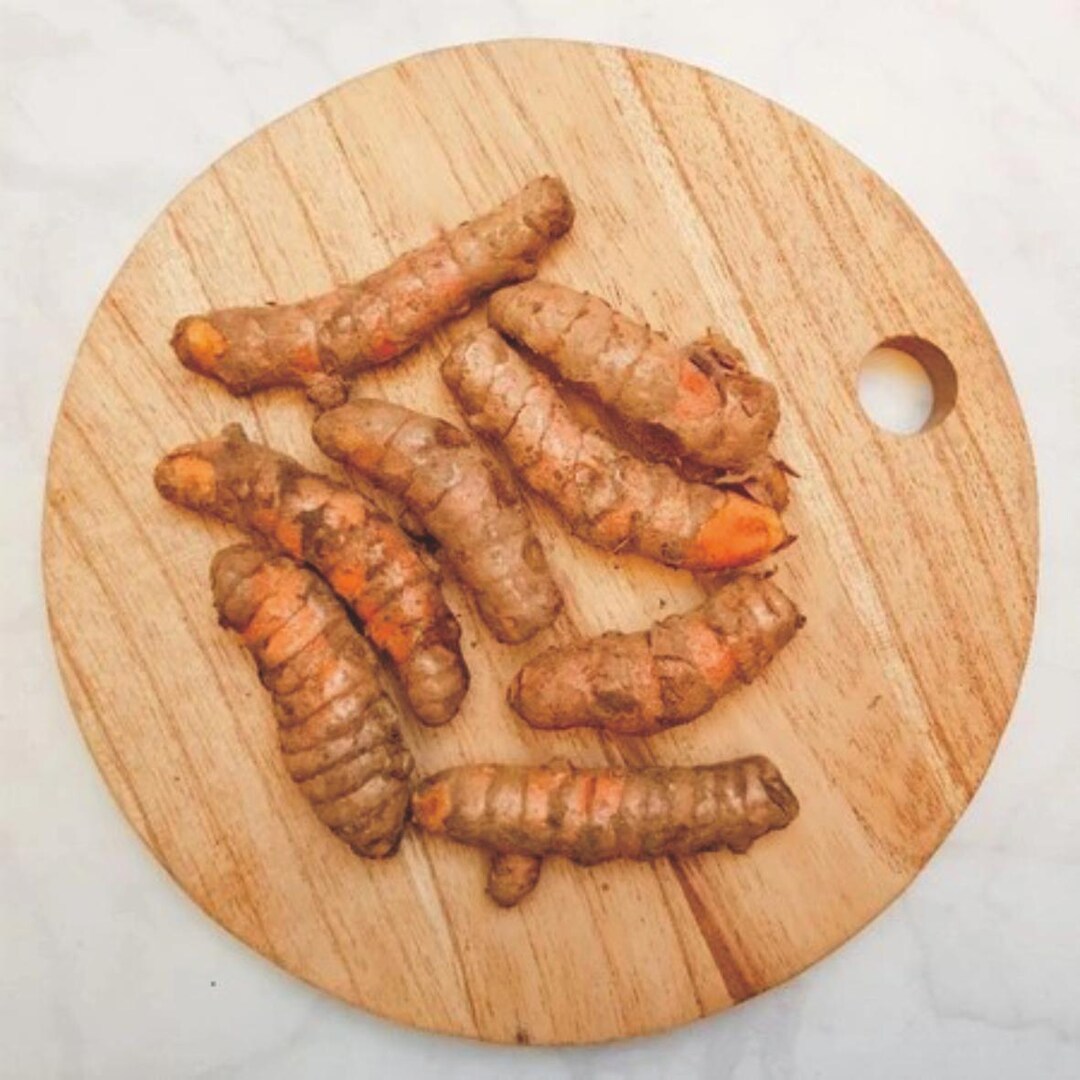 Fresh Wild Turmeric Root From Indonesia, Whole, Raw, Fresh Culinary ...