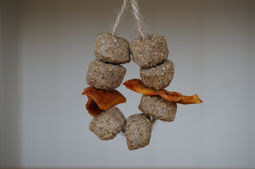 Barley & Papaya Treat Toy for Bunnies Hanging Barley Wreath Boredom ...