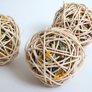 Ultimate Forage Bomb | Chew Forage Toy for Bunnies | Boredom Breaker ...