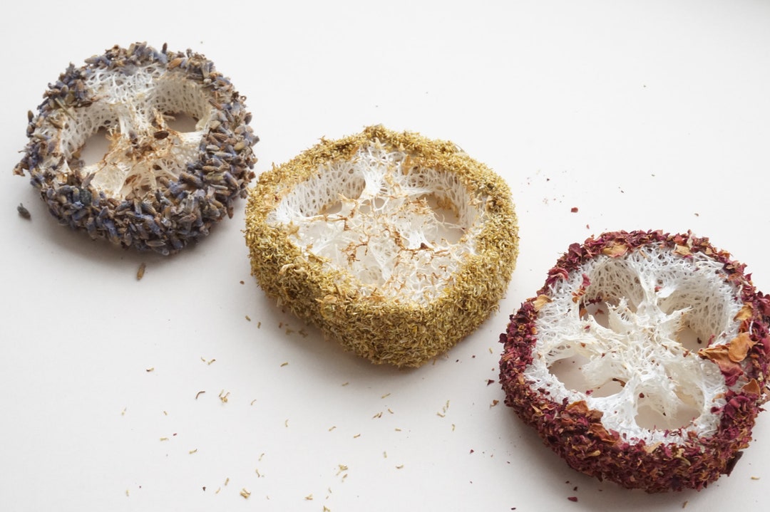 Forage Loofah Chews Forage Covered Loofah Chews for Bunnies Boredom ...