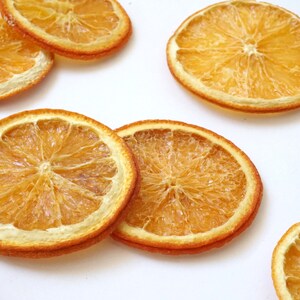 Sweet Dried Oranges for Bunnies | Dried Fruit Natural Hay Topper Treats ...