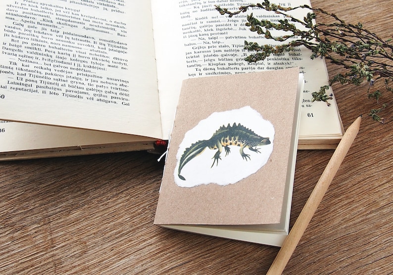 Salamander Tiny Notebook, Bulk Notebooks With Plain Pages, Kraft ...