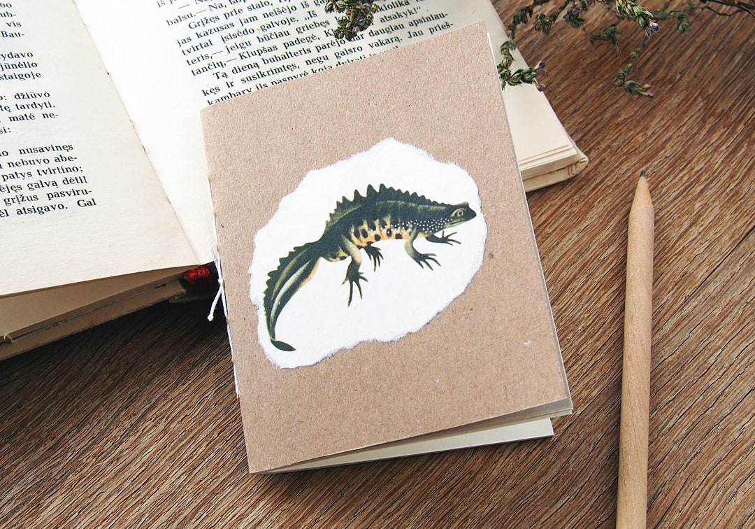 Salamander Tiny Notebook, Bulk Notebooks With Plain Pages, Kraft ...