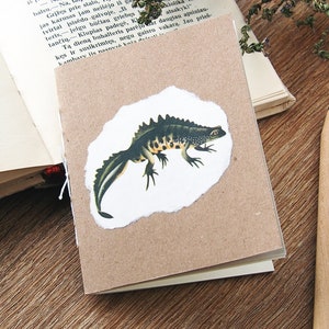 Salamander Tiny Notebook, Bulk Notebooks With Plain Pages, Kraft ...