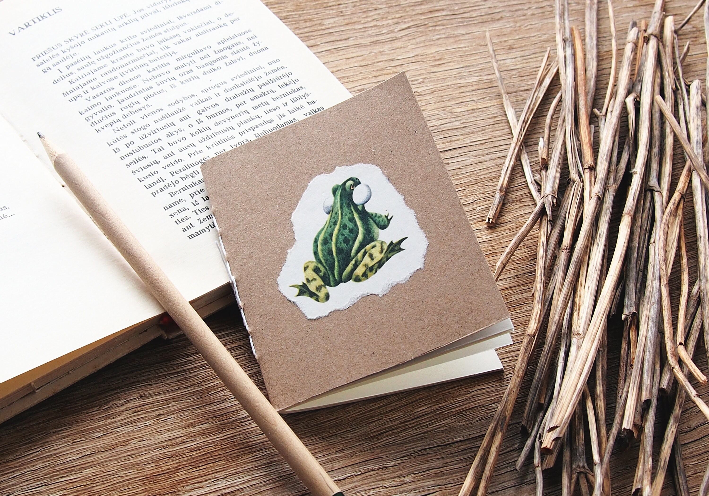 Green Frog Tiny Notebook Bulk Notebooks With Plain Pages | Etsy