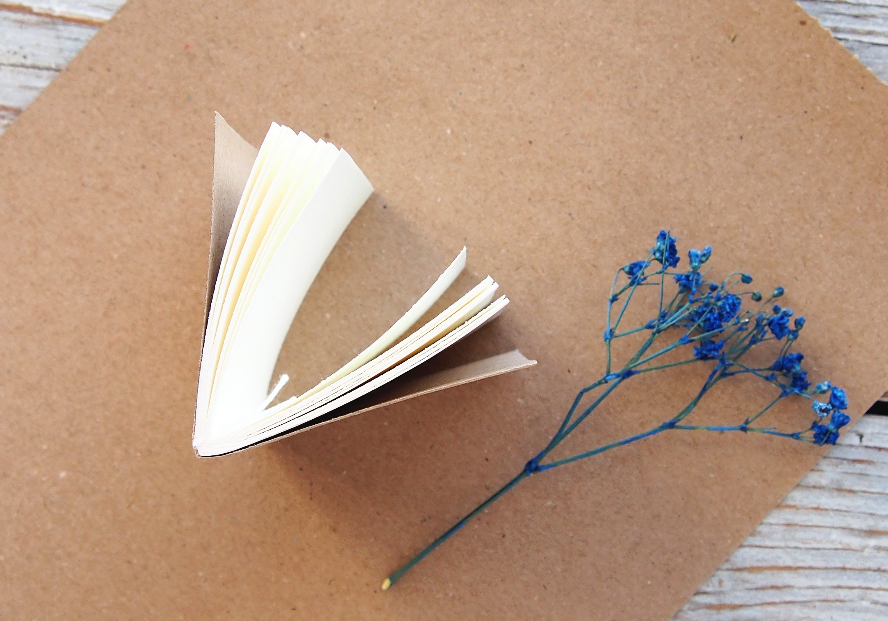 The Little Prince Tiny Notebook Set, Little Prince Journal, Miniature ...