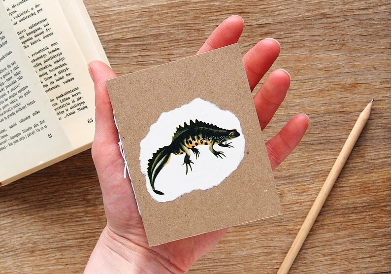 Salamander Tiny Notebook, Bulk Notebooks With Plain Pages, Kraft ...