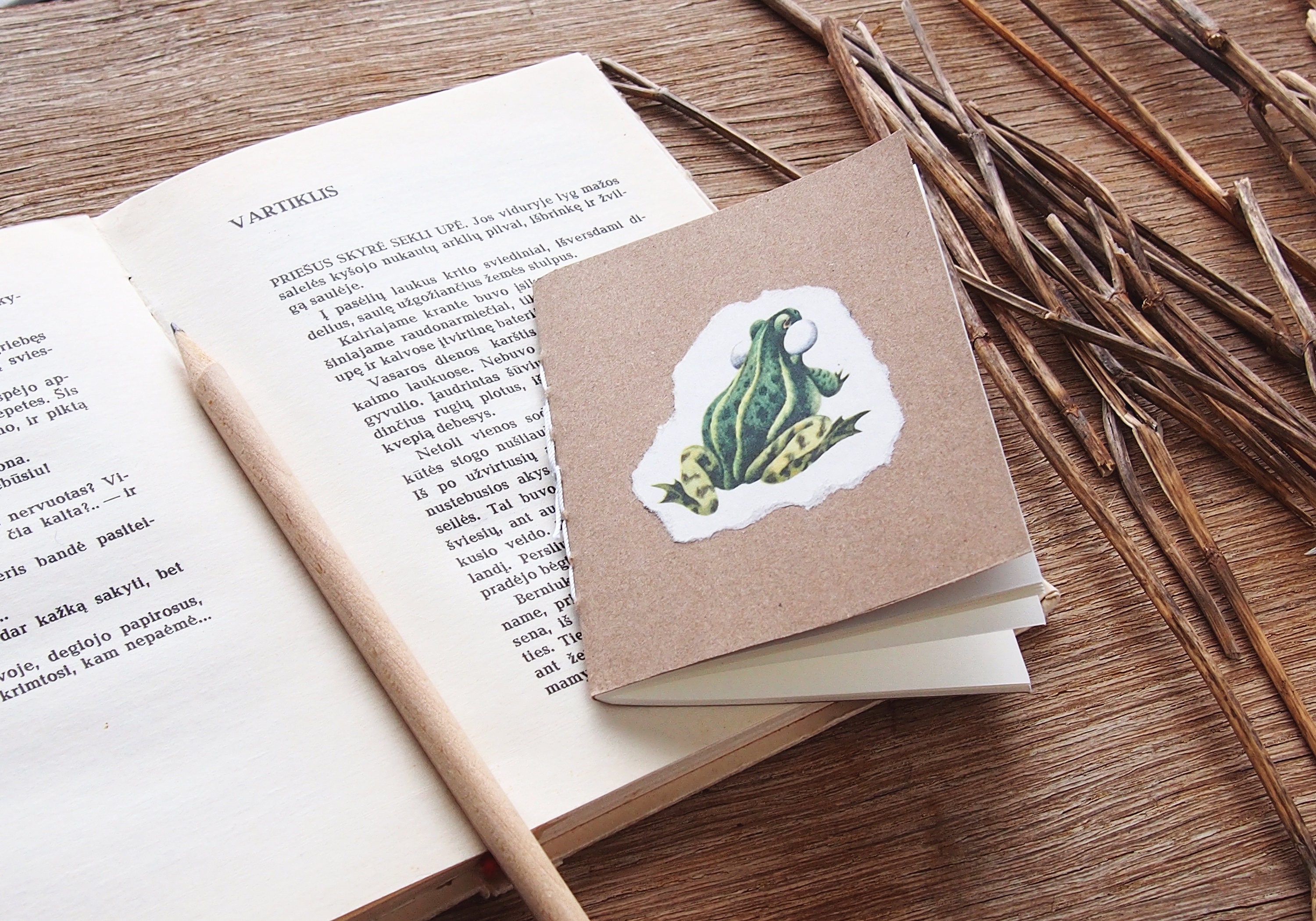 Green Frog Tiny Notebook Bulk Notebooks With Plain Pages | Etsy