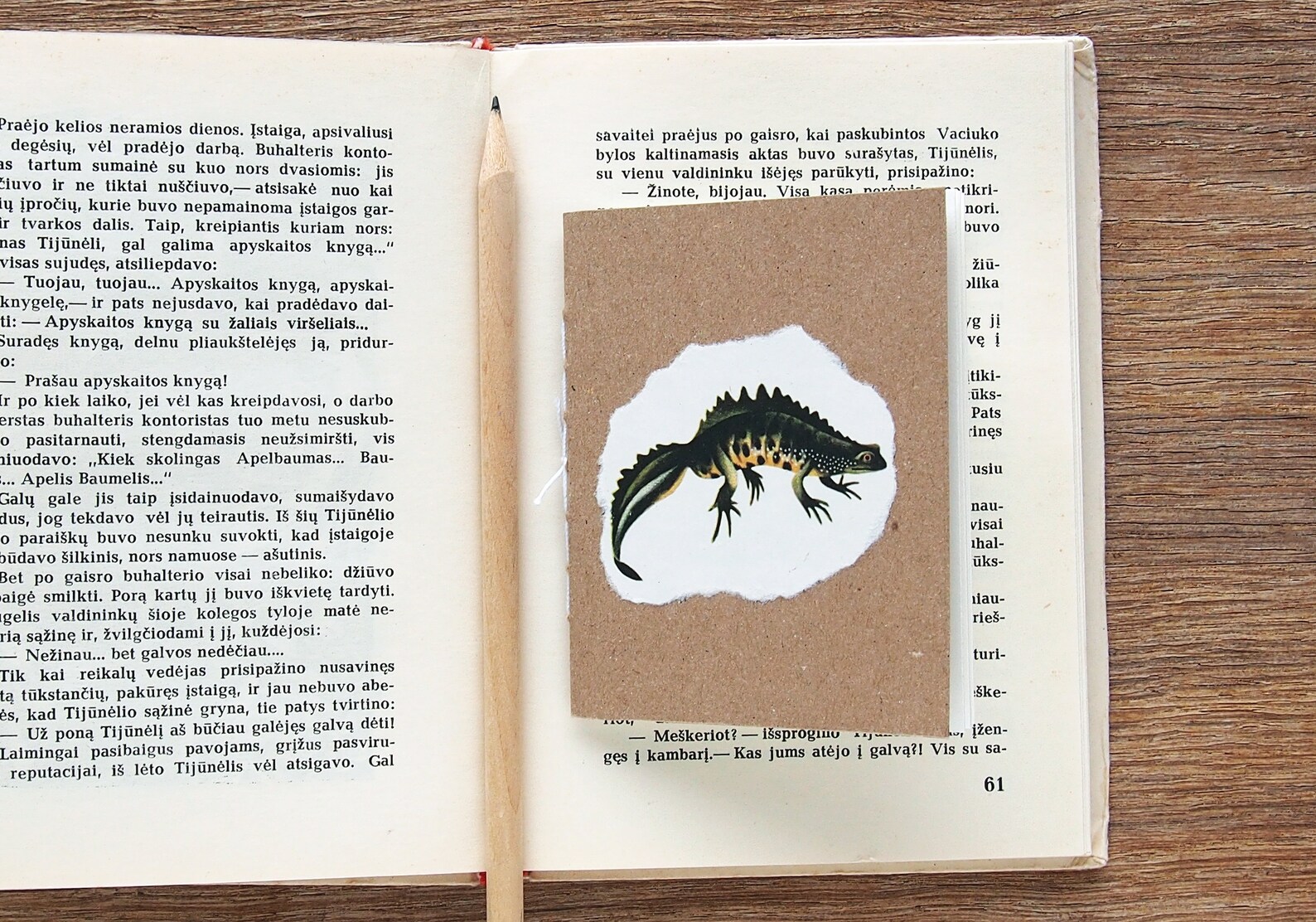 Salamander Tiny Notebook, Bulk Notebooks With Plain Pages, Kraft ...