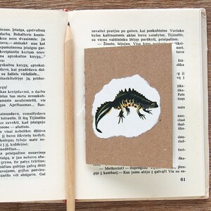 Salamander Tiny Notebook, Bulk Notebooks With Plain Pages, Kraft ...