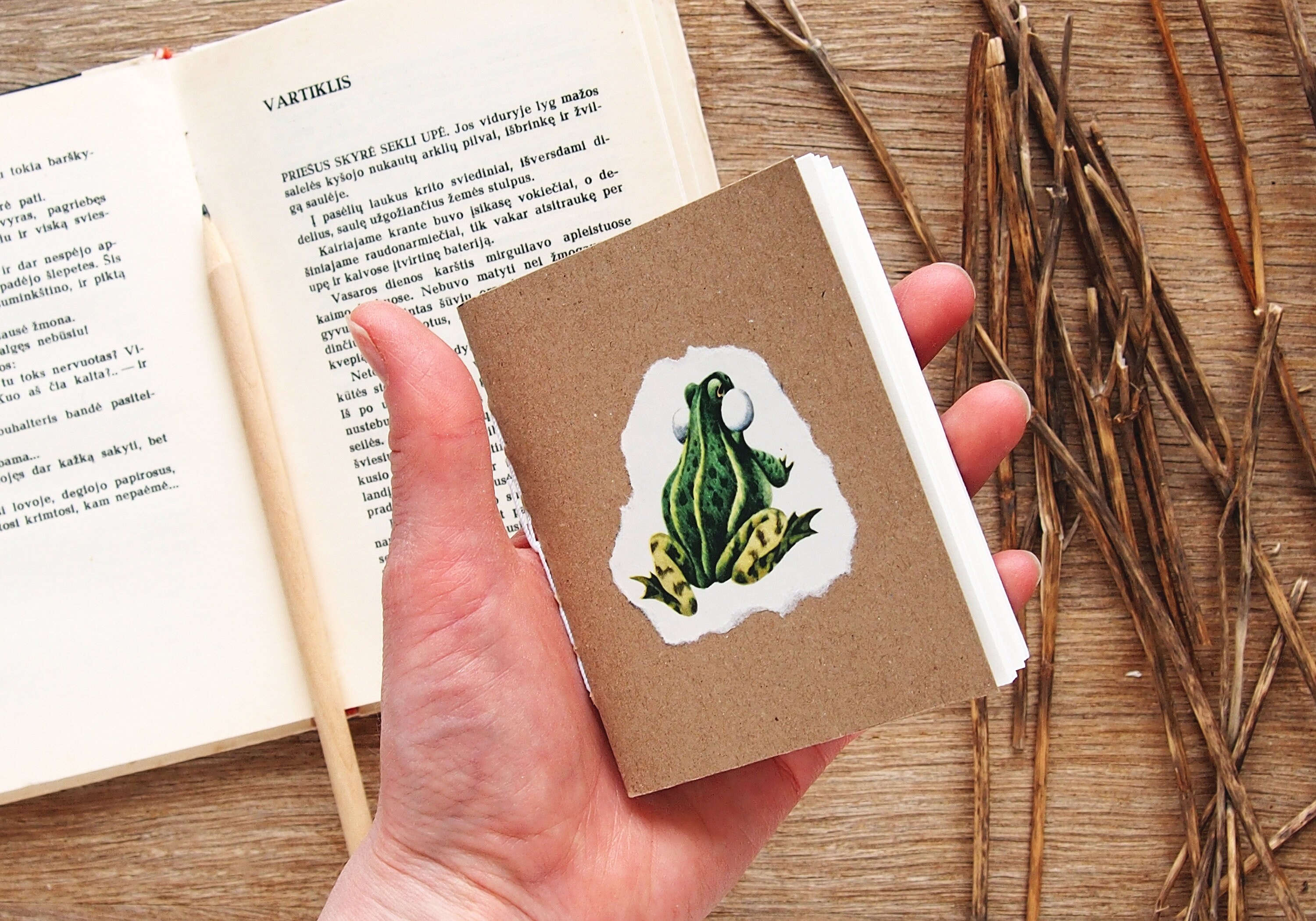 Green Frog Tiny Notebook Bulk Notebooks With Plain Pages | Etsy