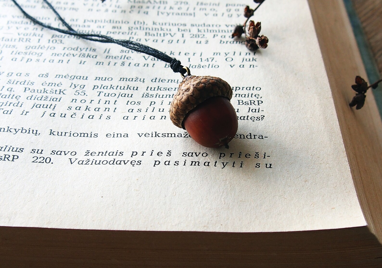 Real Acorn Necklace Peter Pan Jewelry Acorn Charm Acorn - Etsy