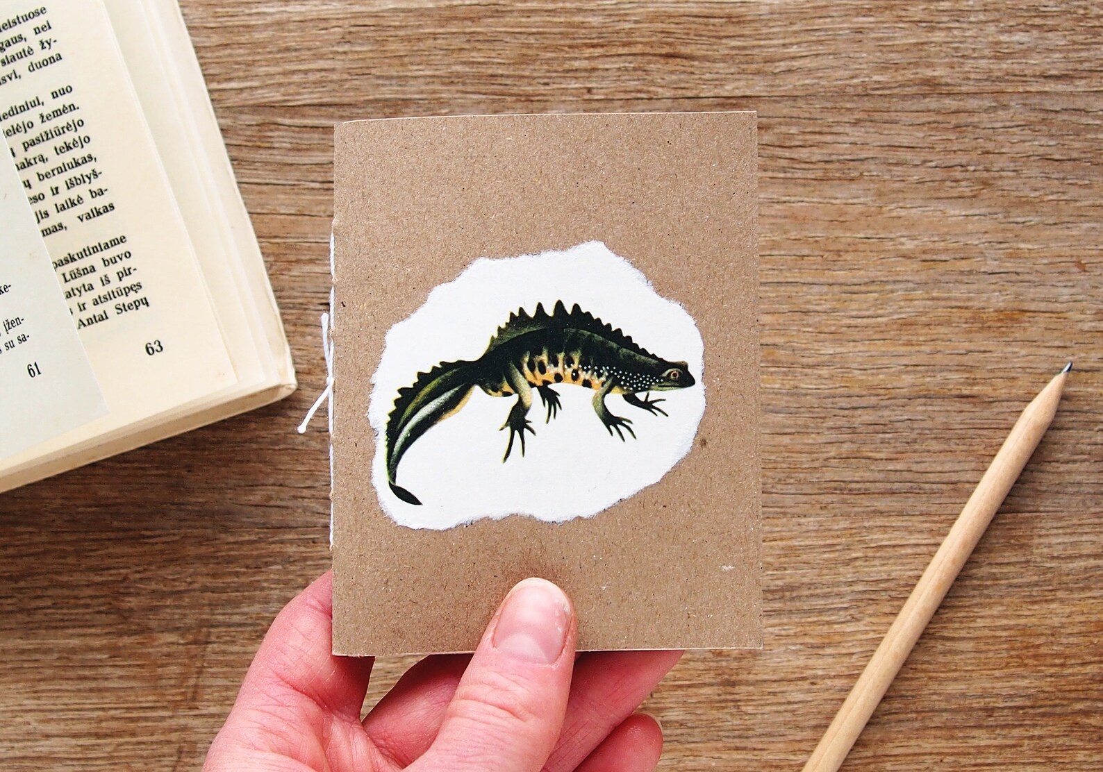 Salamander Tiny Notebook, Bulk Notebooks With Plain Pages, Kraft ...