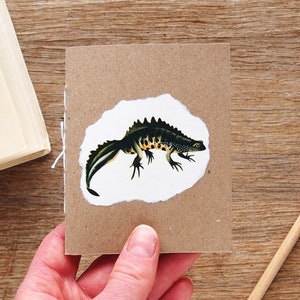 Salamander Tiny Notebook, Bulk Notebooks With Plain Pages, Kraft ...