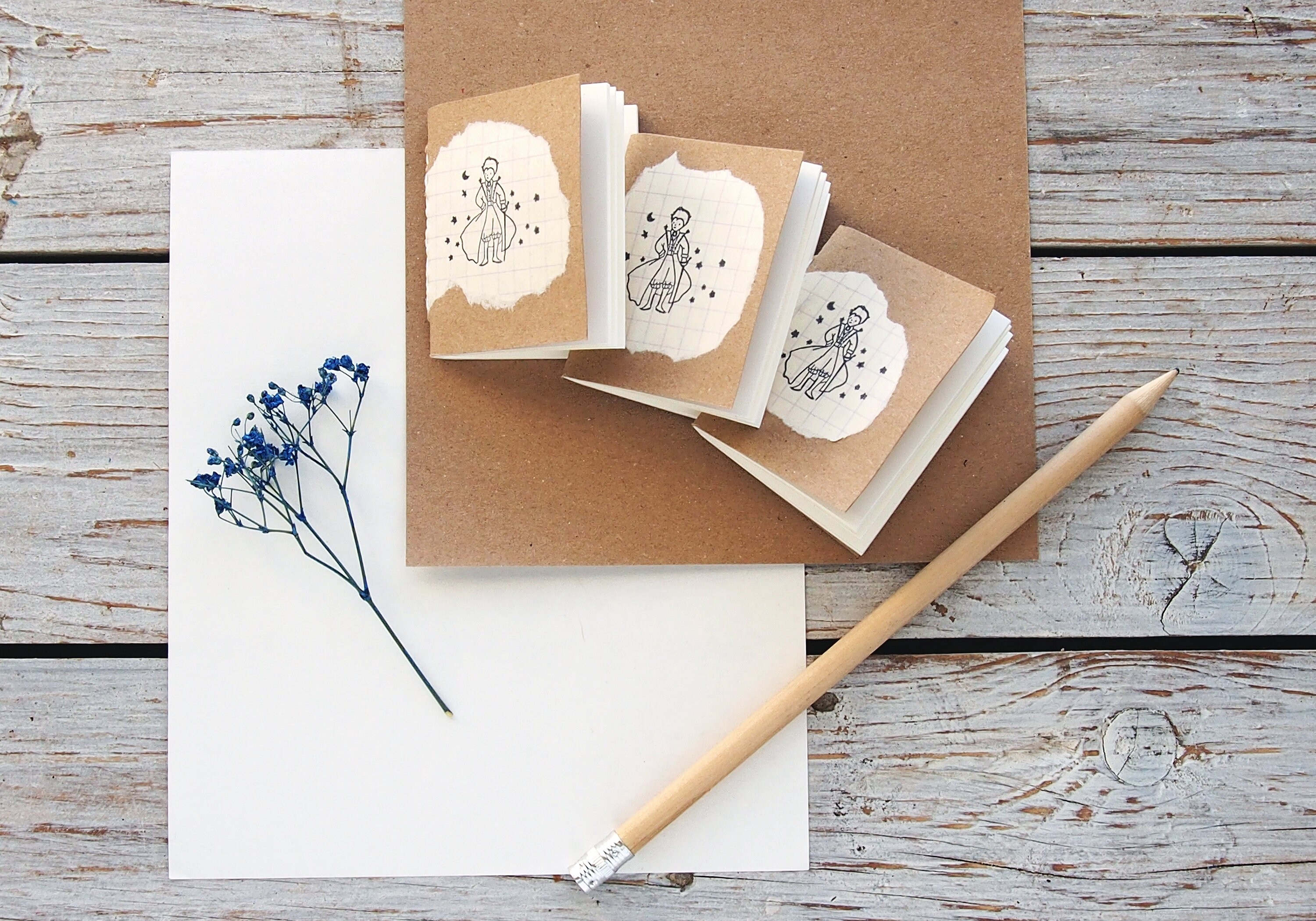 The Little Prince Tiny Notebook Set, Little Prince Journal, Miniature ...