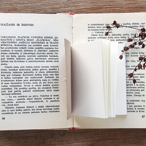 Salamander Tiny Notebook, Bulk Notebooks With Plain Pages, Kraft ...