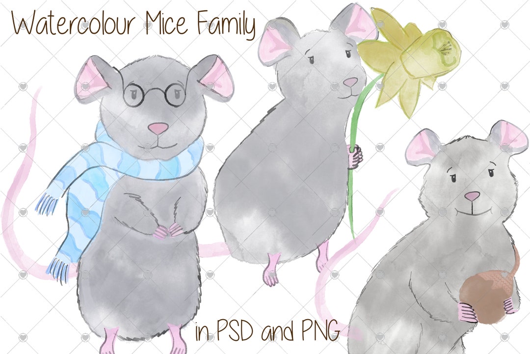 Baby Animal Clipart Watercolor Clipart Mouse Clipart - Etsy