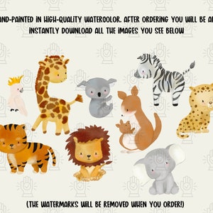 Safari Watercolor Clipart Safari Baby Shower Jungle - Etsy