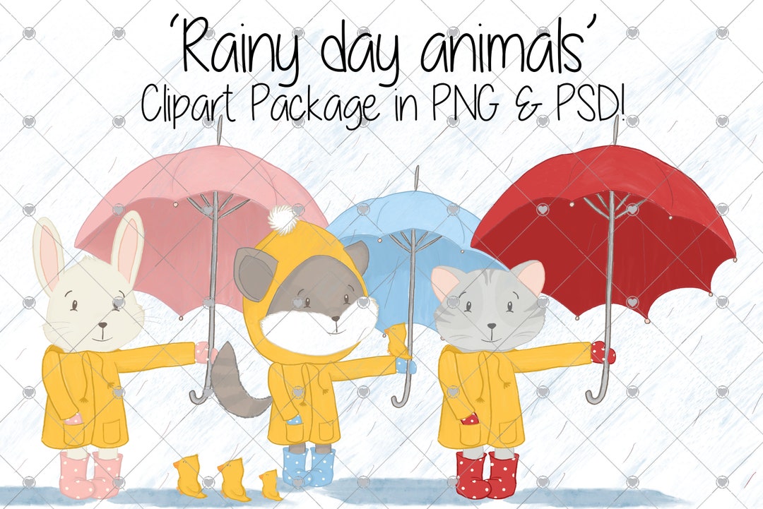 Baby Animal Clipart Animal Clipart, Rain Clipart, Cat Clipart, Racoon ...