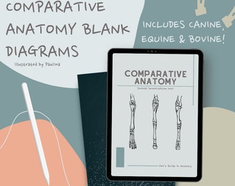 Complete Comparative Animal Anatomy Blank Notes - Etsy