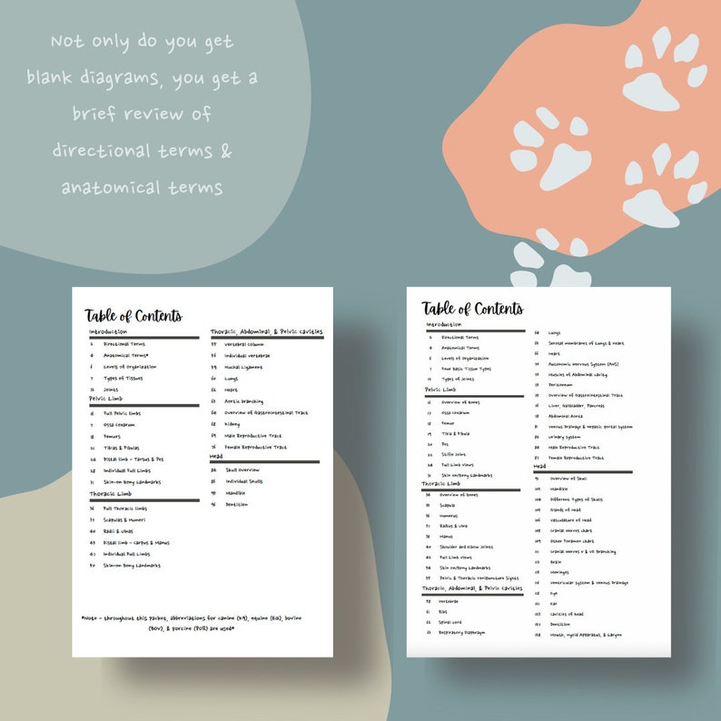 BUNDLE Canine & Comparative Animal Anatomy Blank Notes - Etsy