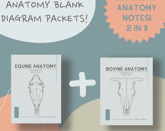 BUNDLE** Canine, Equine, & Bovine Anatomy Blank Notes - Etsy