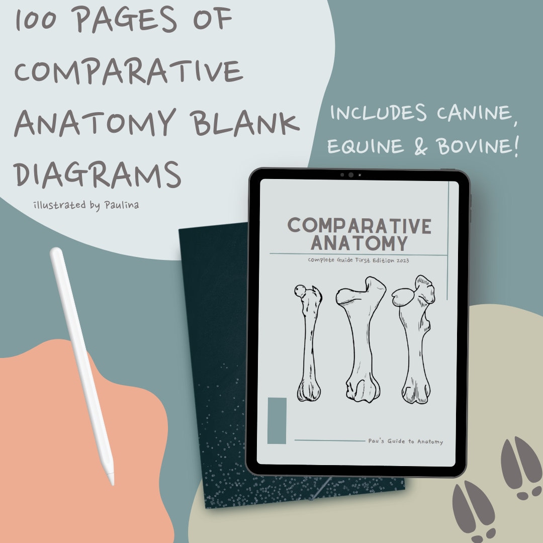 Complete Comparative Animal Anatomy Blank Notes - Etsy