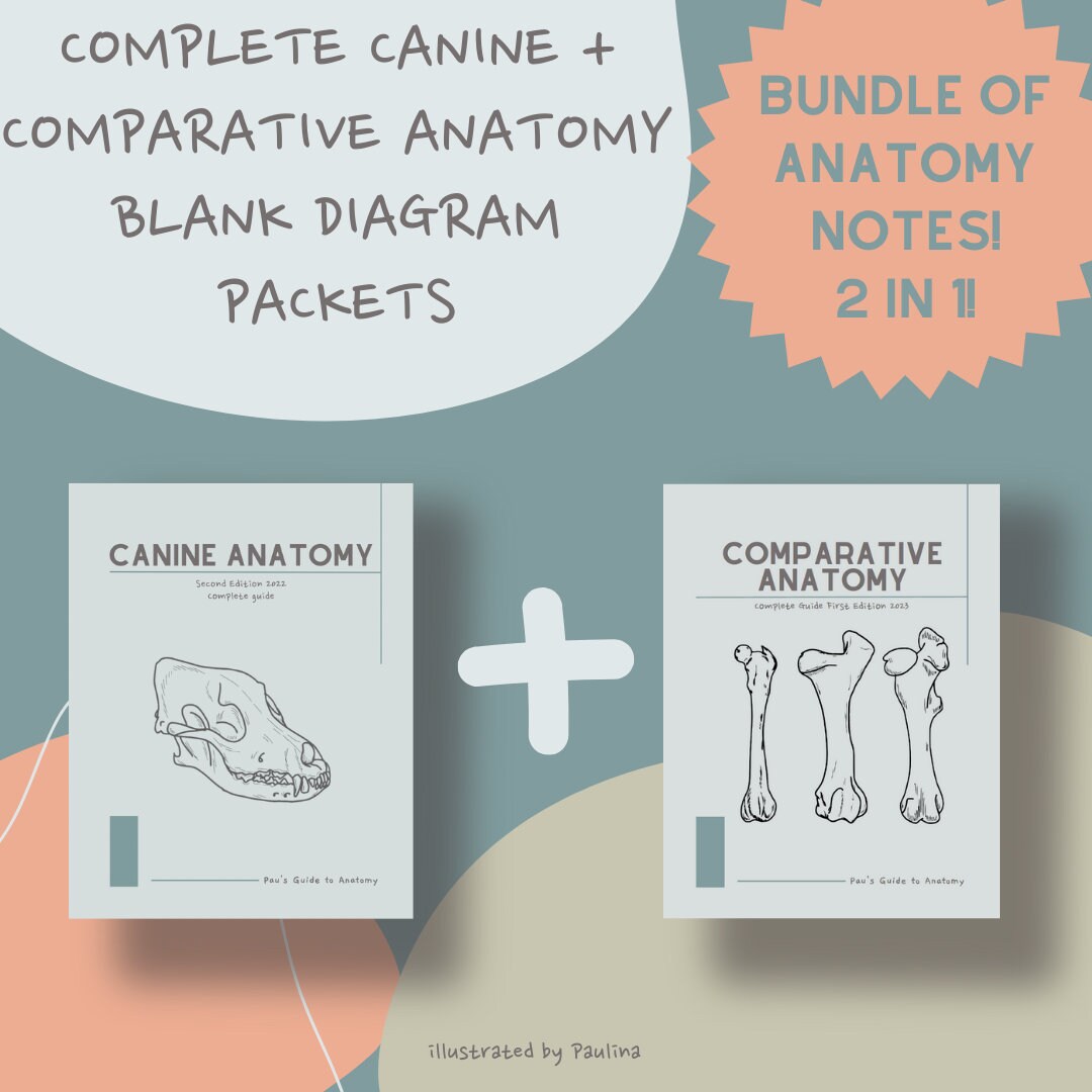 BUNDLE** Canine & Comparative Animal Anatomy Blank Notes - Etsy