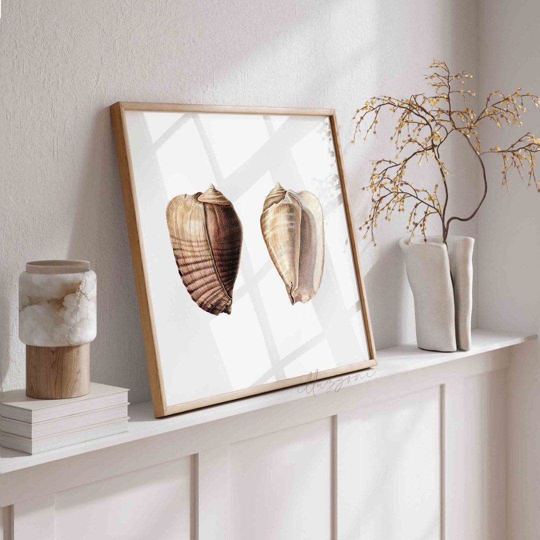 Vintage Seashell Print, Printable Wall Art, Nautical Decor, Ocean ...